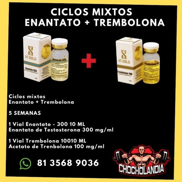 TREMBOLONA – Chocholandia